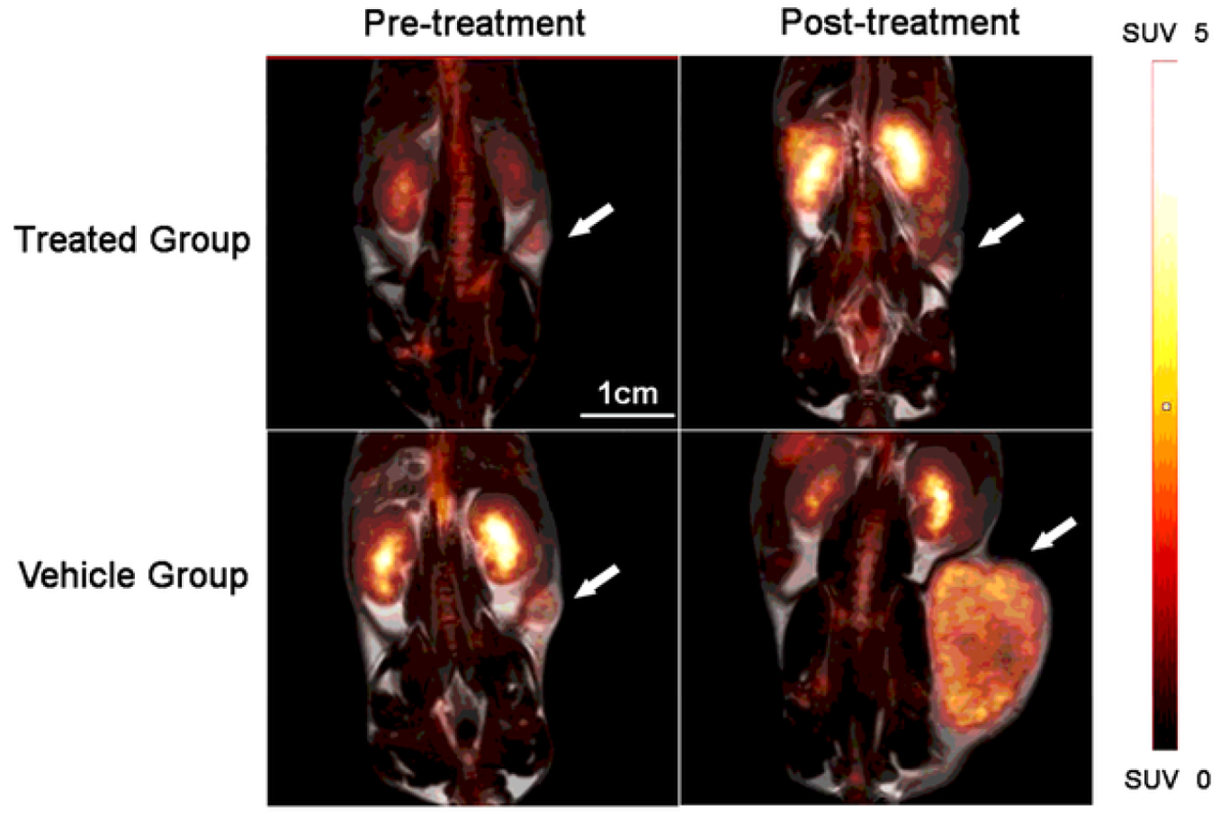 美迪索nanoScan PET/MRI 3T助力microPET/MR平台下五种鼻咽癌动